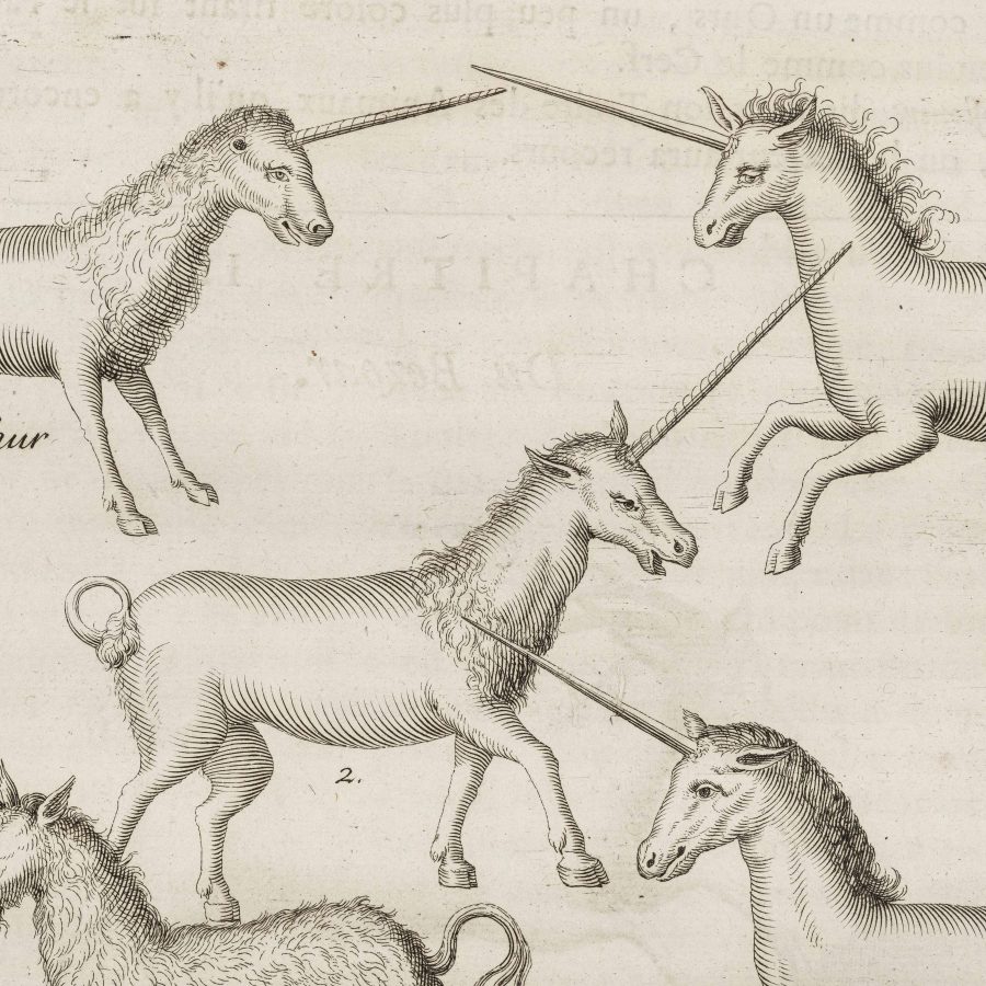 Niguliste muuseum - Eesti Kunstimuuseumi filiaal - Avaleht